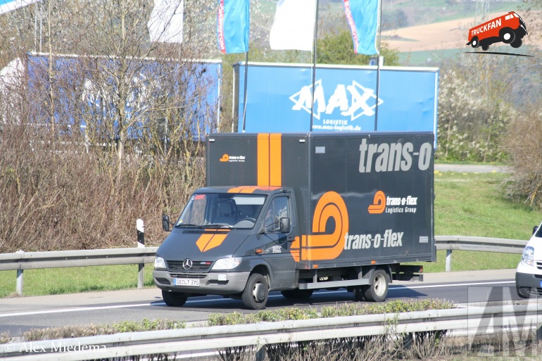 Foto Mercedes-Benz Sprinter van trans-o-flex - TruckFan